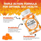 prebiotic and probiotic gummy benefits