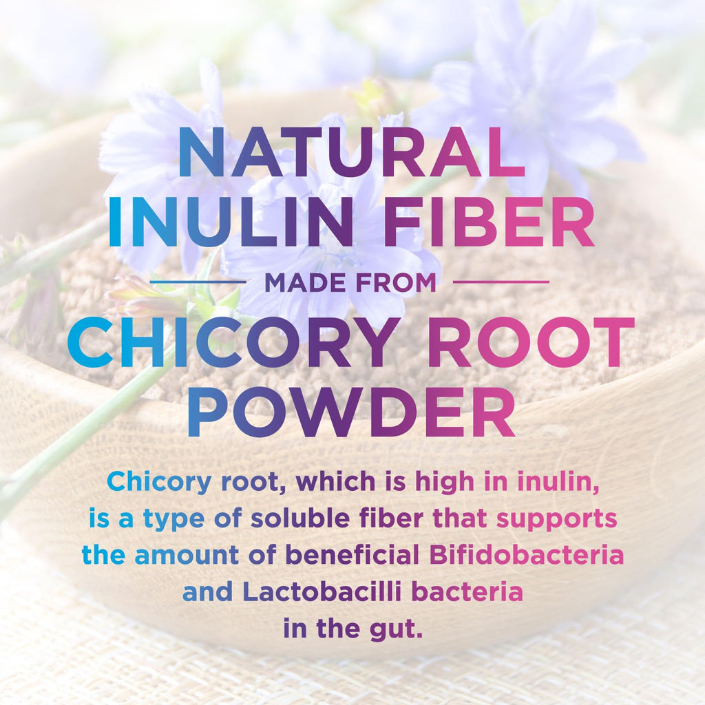 prebiotic fiber for gut wellness