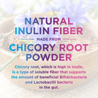prebiotic fiber for gut wellness
