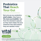 prebiotic fiber supplement for wellness