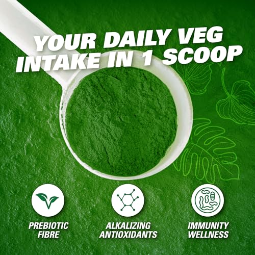 prebiotic fibre in spirulina powder