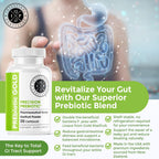 prebiotics benefits for gut flora