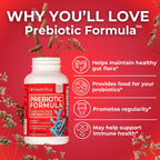 prebiotics benefits for gut wellness