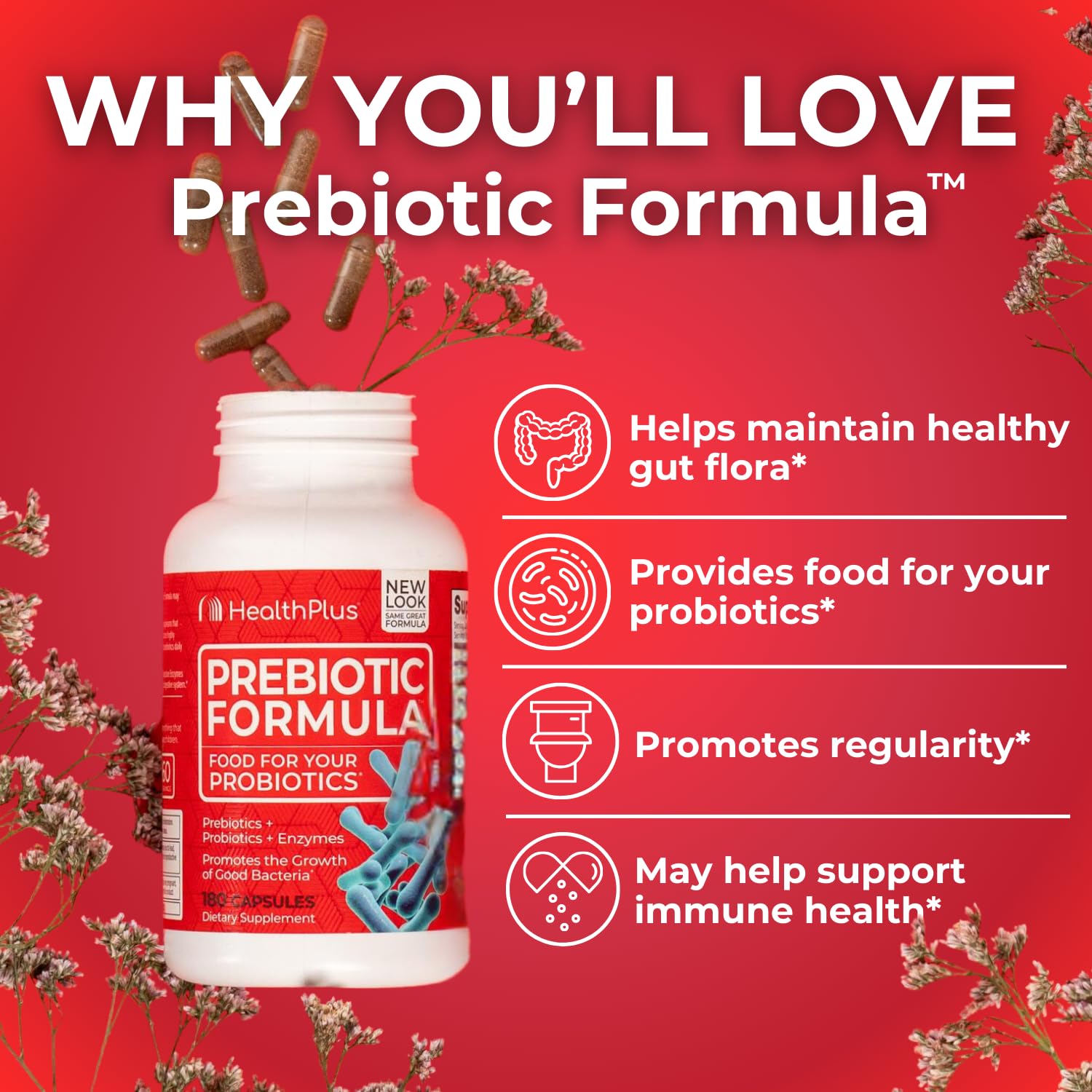 prebiotics benefits for gut wellness
