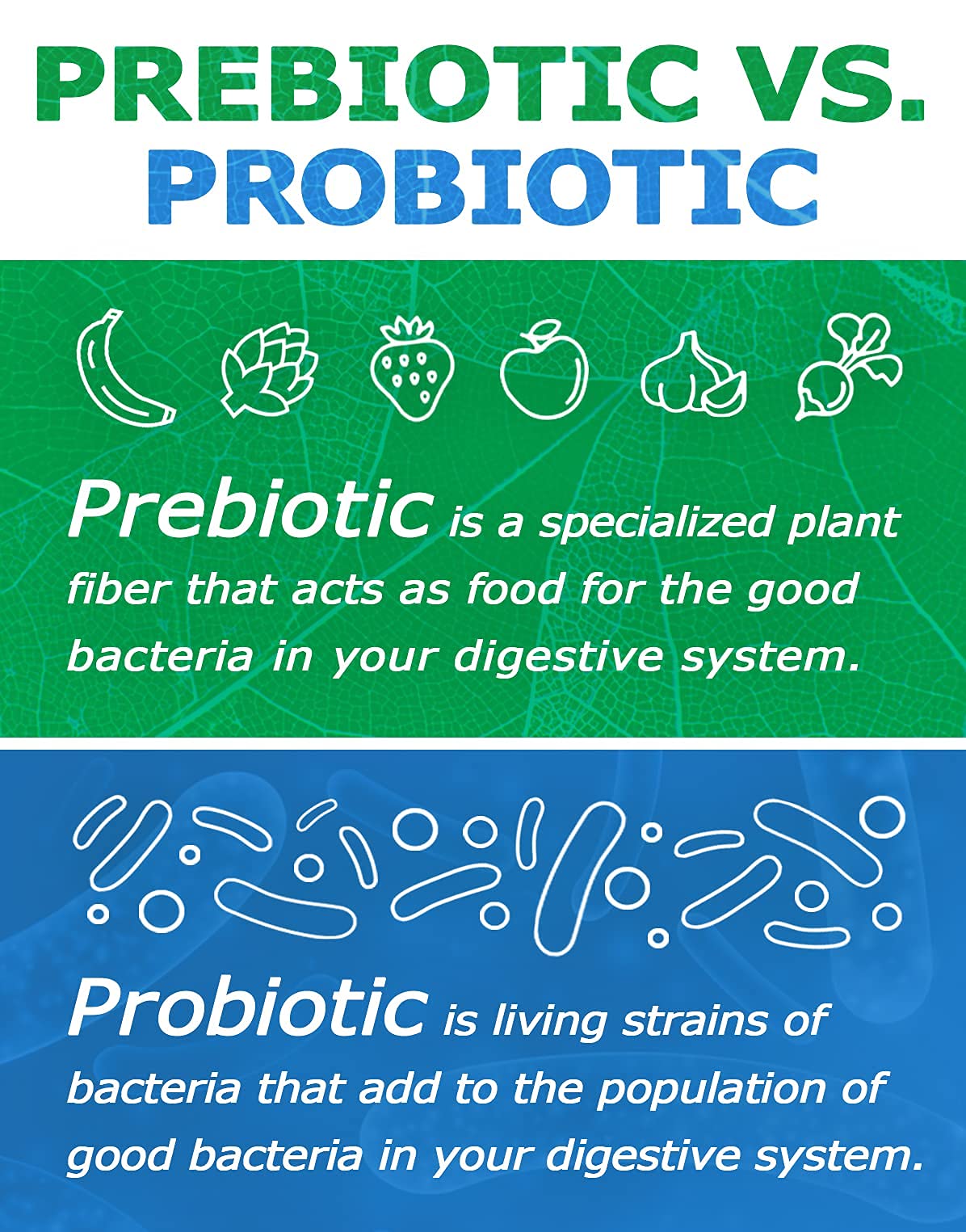 prebiotics for daily wellness