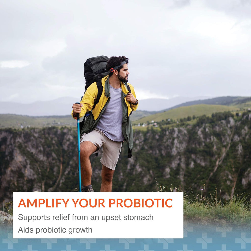 prebiotics vs probiotics explained simply