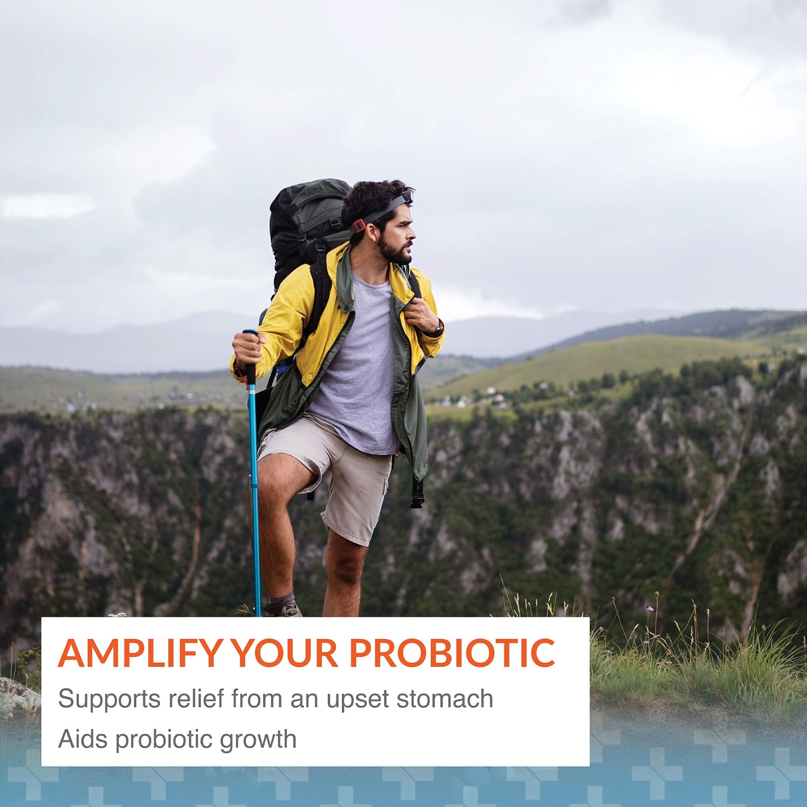 prebiotics vs probiotics explained simply