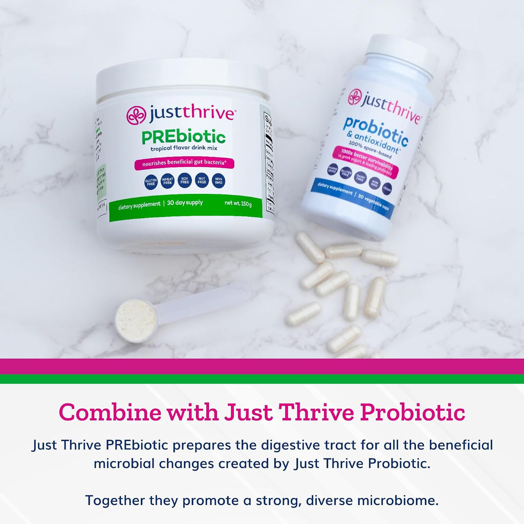 prebiotics vs probiotics explained