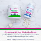prebiotics vs probiotics explained