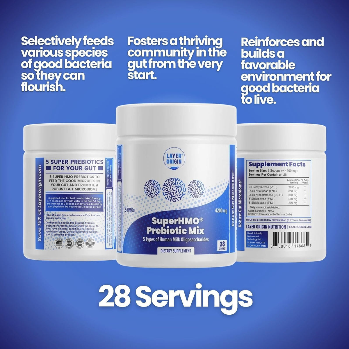 prebiotics vs probiotics explained