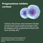 Pregnenolone for cognitive support