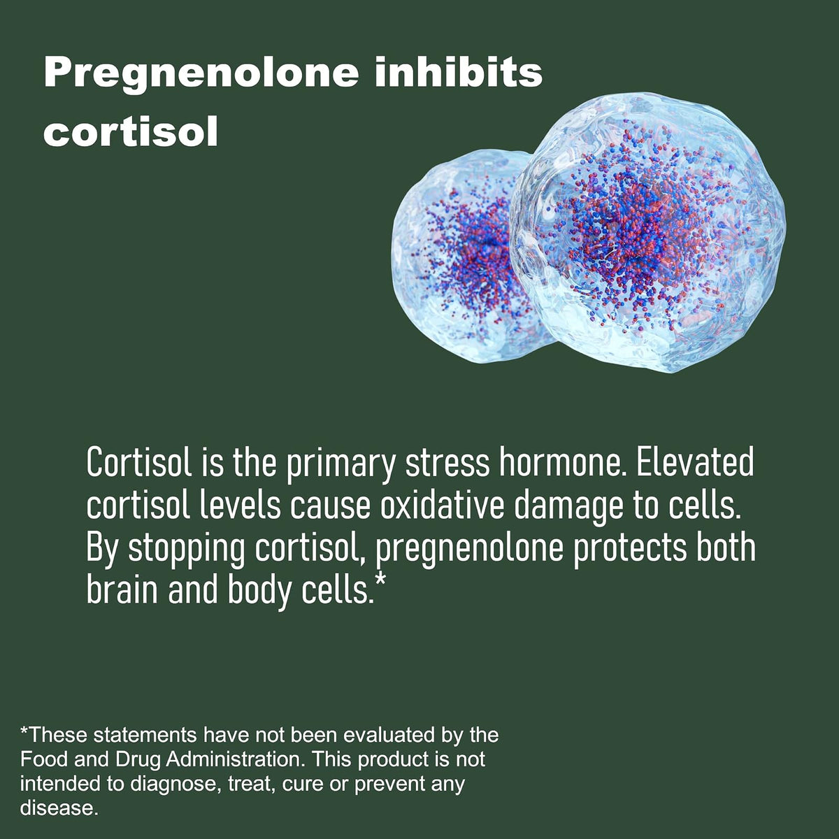 Pregnenolone for cognitive support