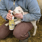 Premier multivitamins for strong lambs