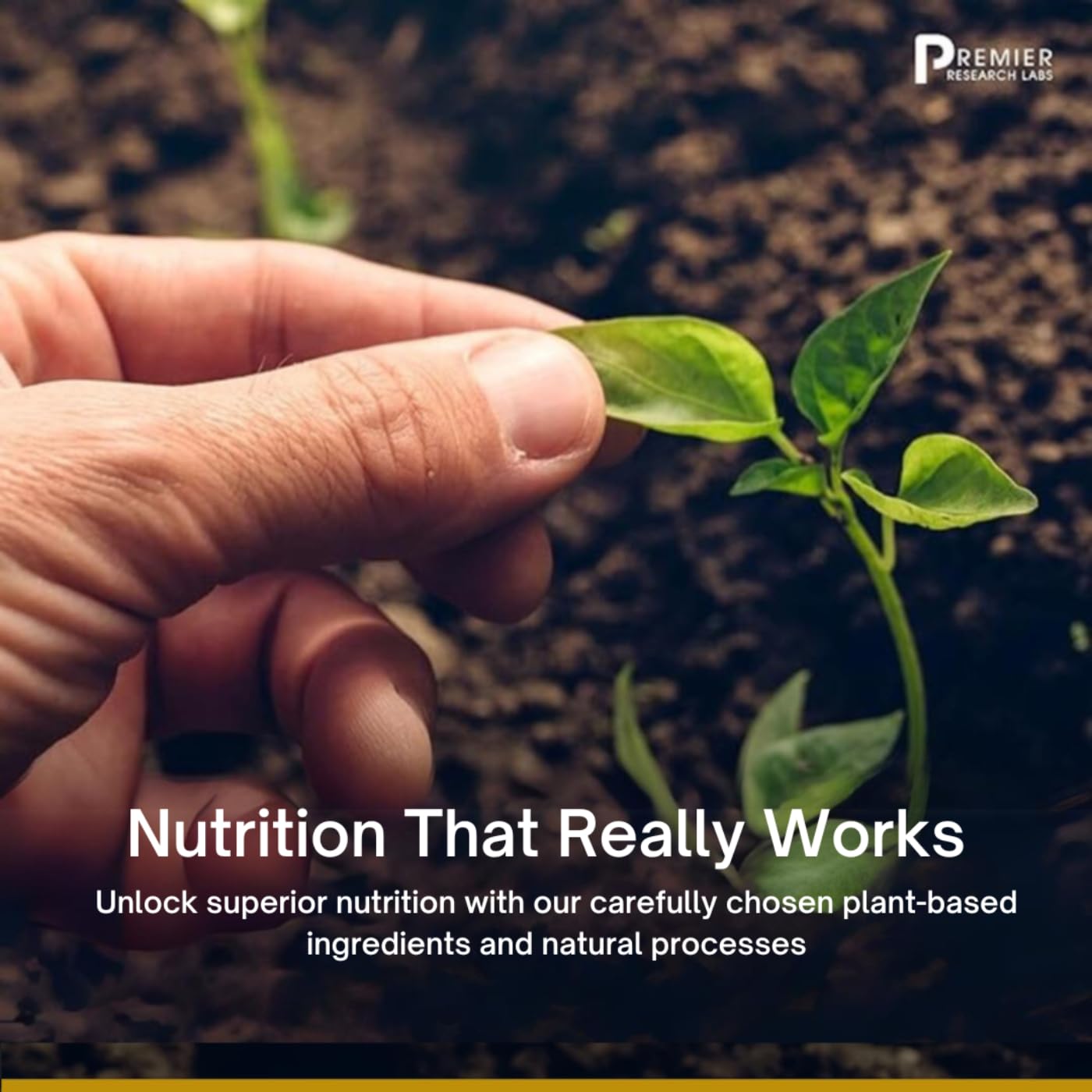 Premier Research Labs clay for detox