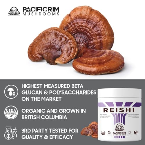 premium 10:1 reishi mushroom extract