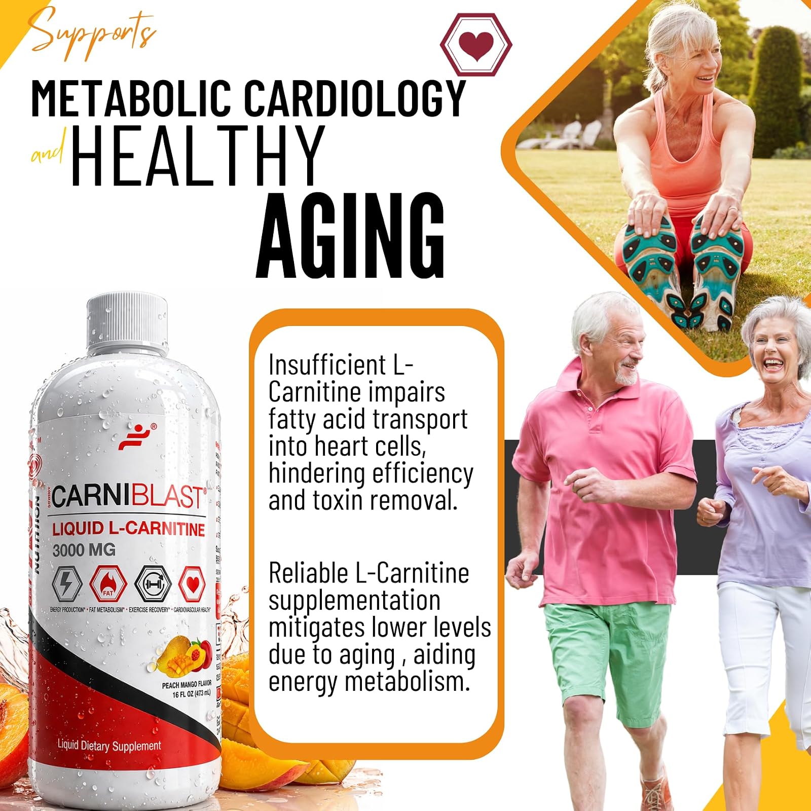premium acetyl l-carnitine solution