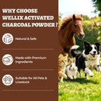 Premium activated charcoal for gut health