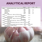 premium aged garlic extract formula