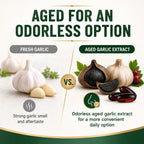 premium aged garlic for daily health