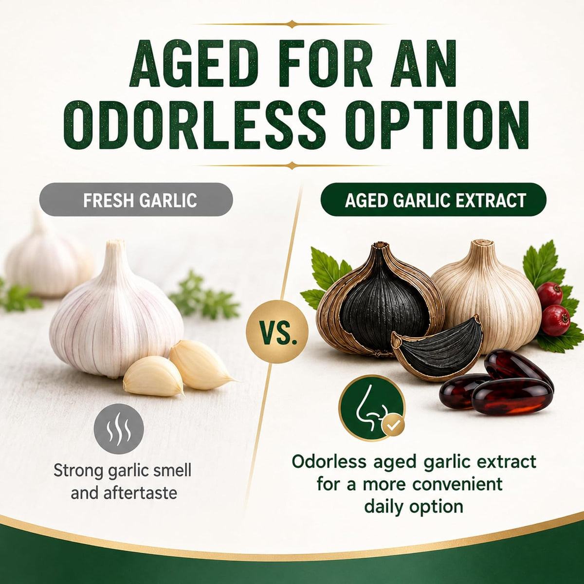 premium aged garlic for daily health