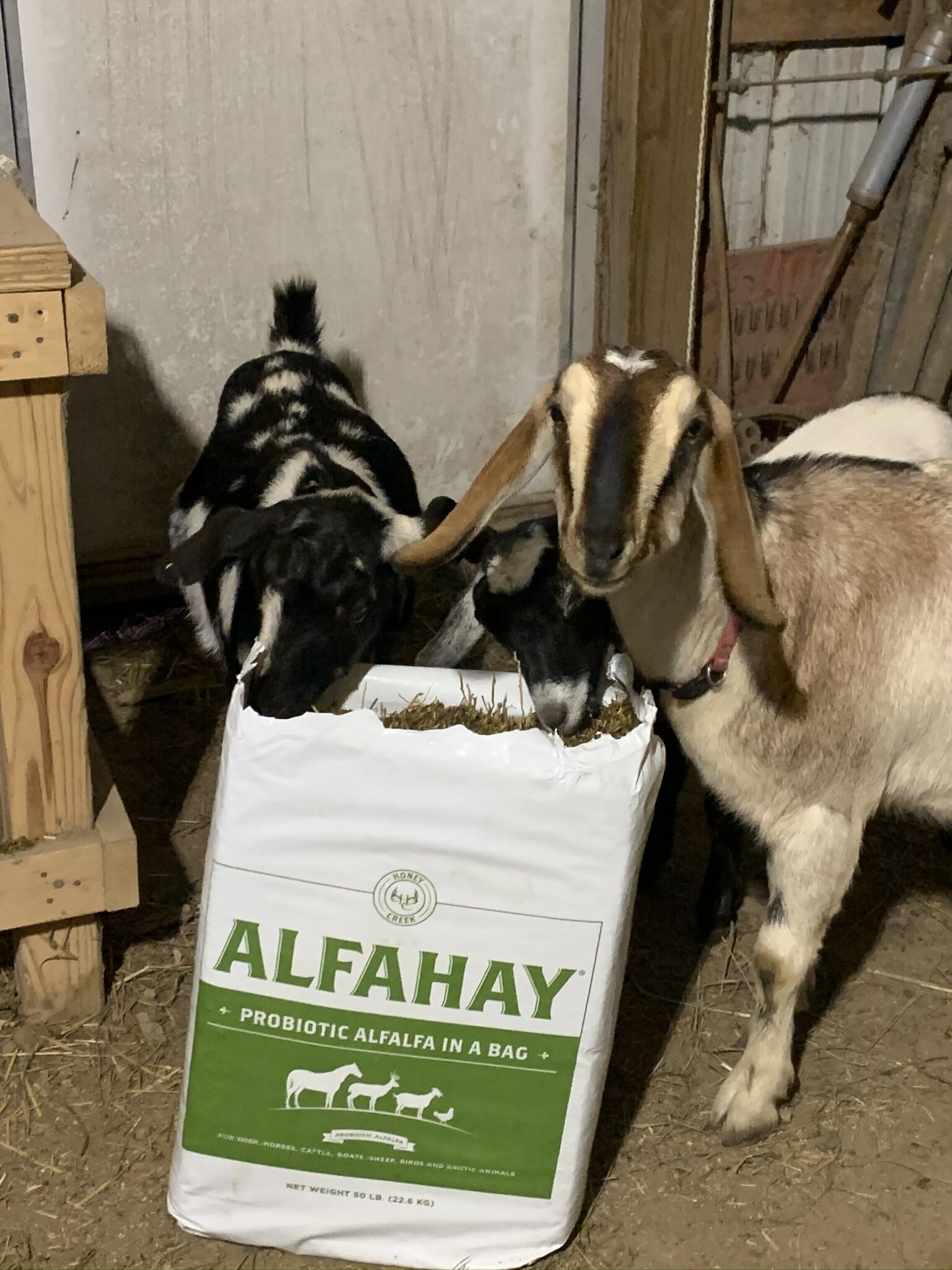 premium alfalfa for farm animal health