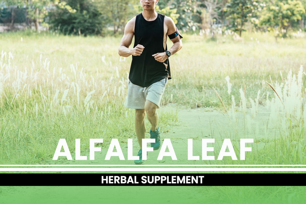 premium alfalfa for wellness