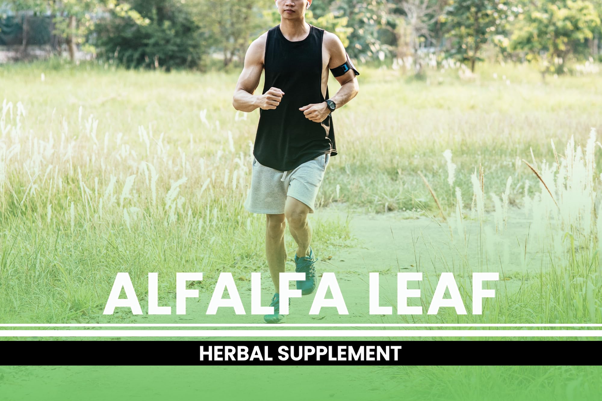 premium alfalfa for wellness