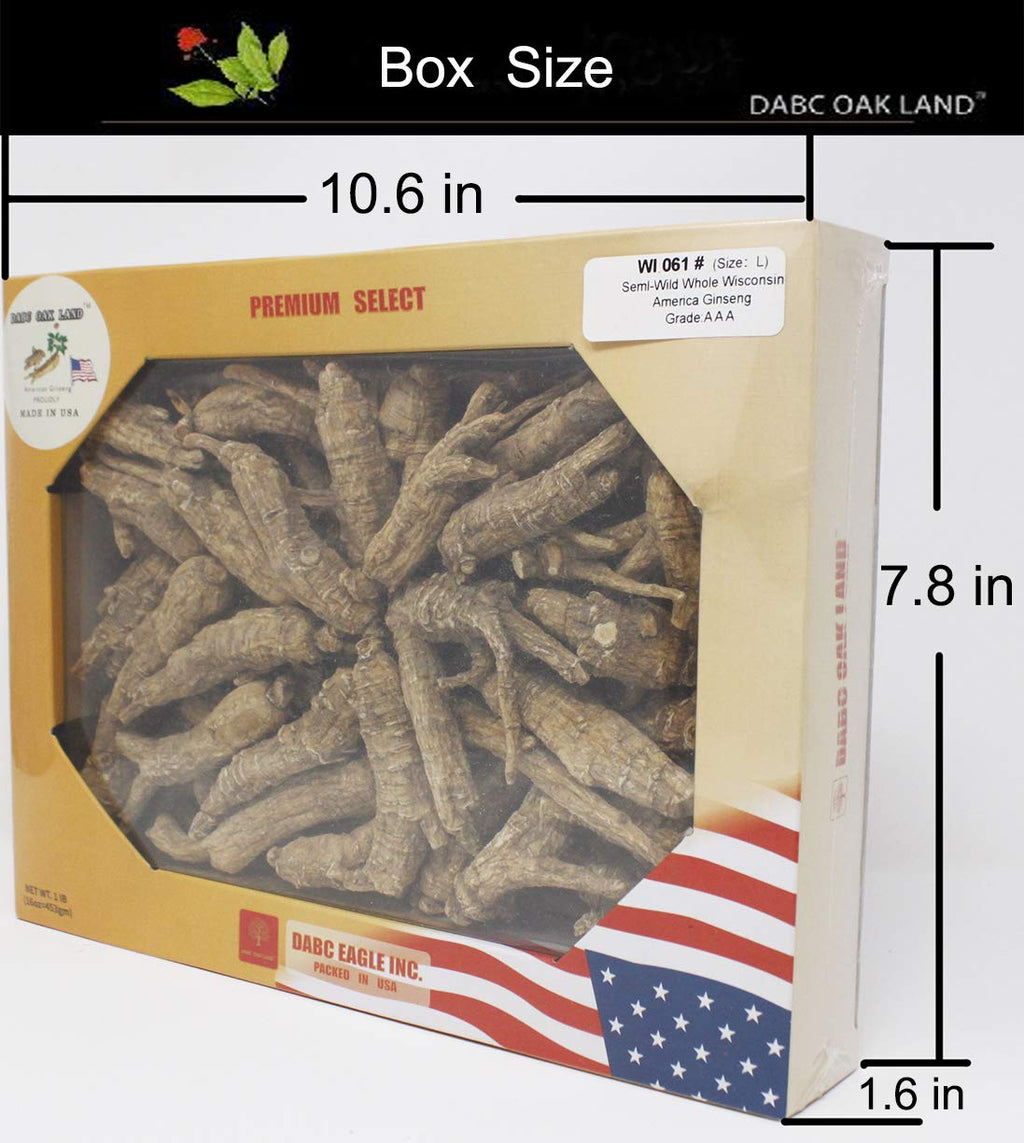 Premium American ginseng for wellness