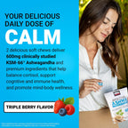 premium ashwagandha for enhanced focus