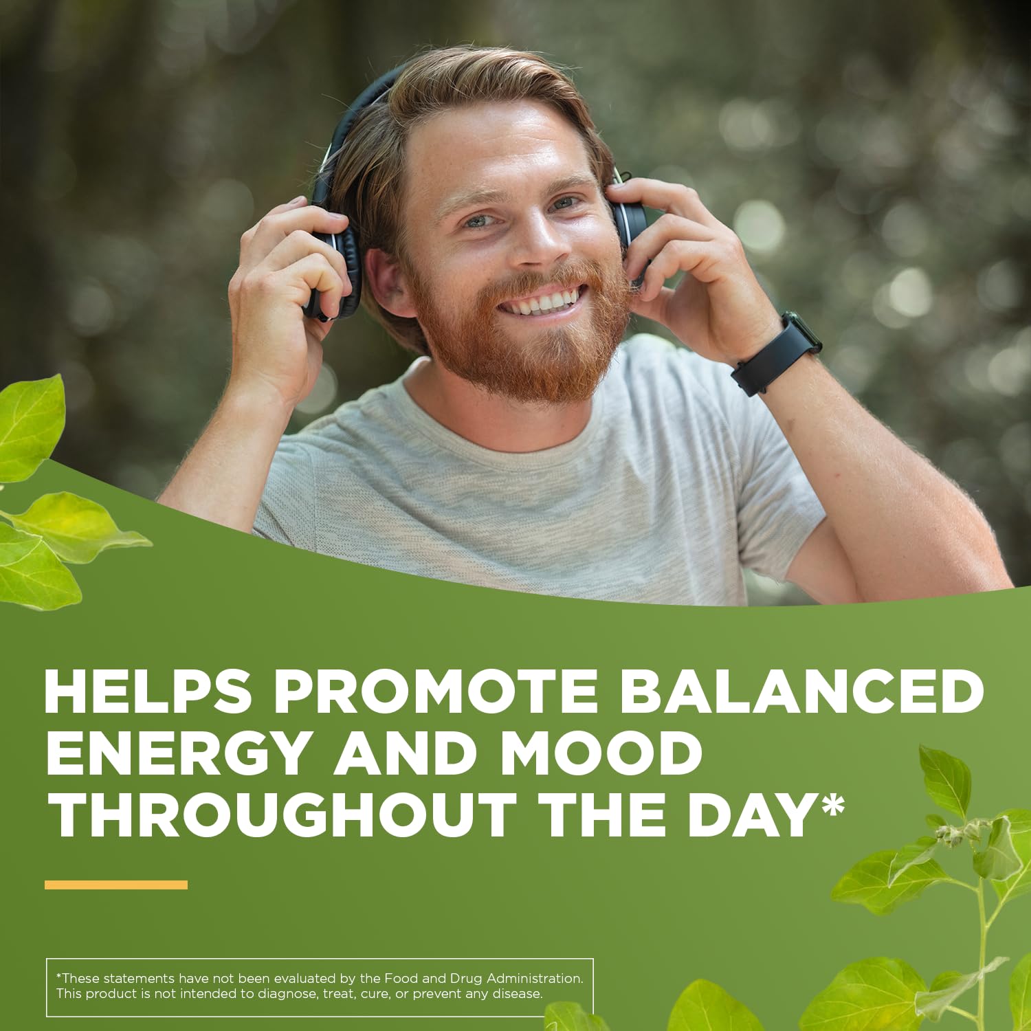 premium ashwagandha for holistic health