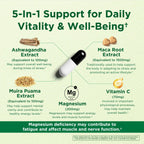 premium ashwagandha ksm-66 benefits