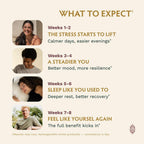 premium ashwagandha KSM-66 for relaxation