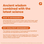 premium ashwagandha ksm-66 formula