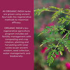 premium ashwagandha powder for wellness