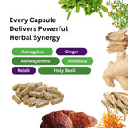 premium ashwagandha supplement for wellness
