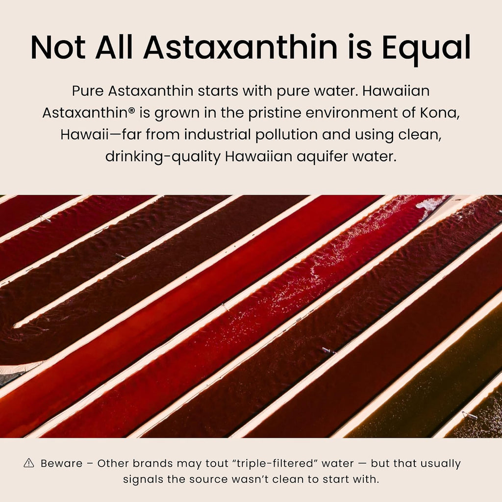 premium astaxanthin for athletes