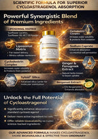 premium Astragalus extract Cycloastragenol