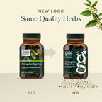 premium astragalus extract for health