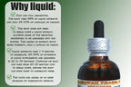 premium astragalus for immune support