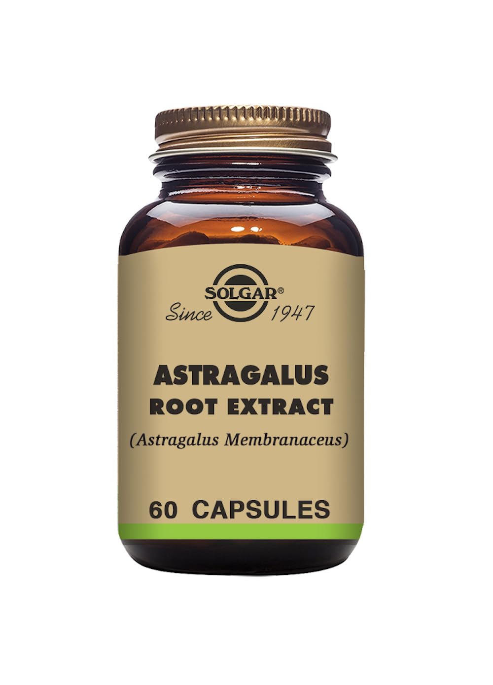 premium astragalus root extract capsules