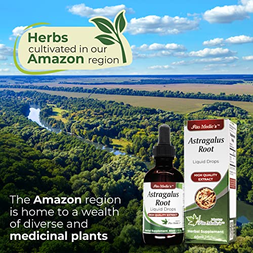 premium astragalus root for wellness
