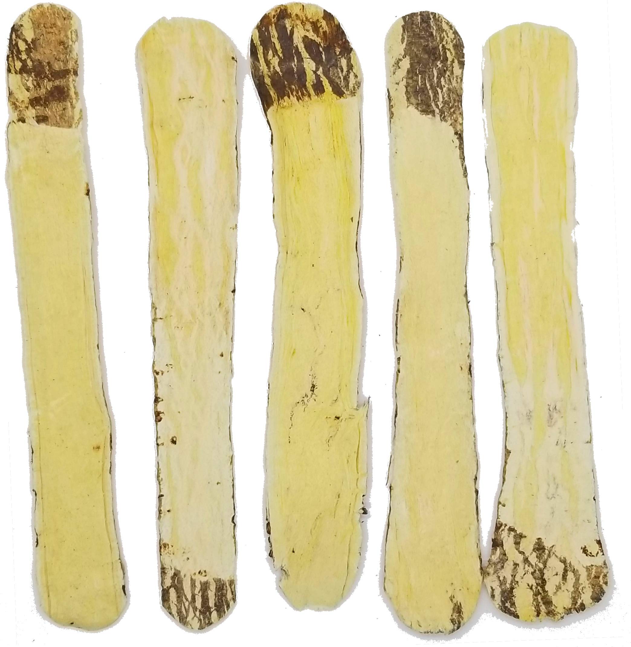 premium astragalus root slices