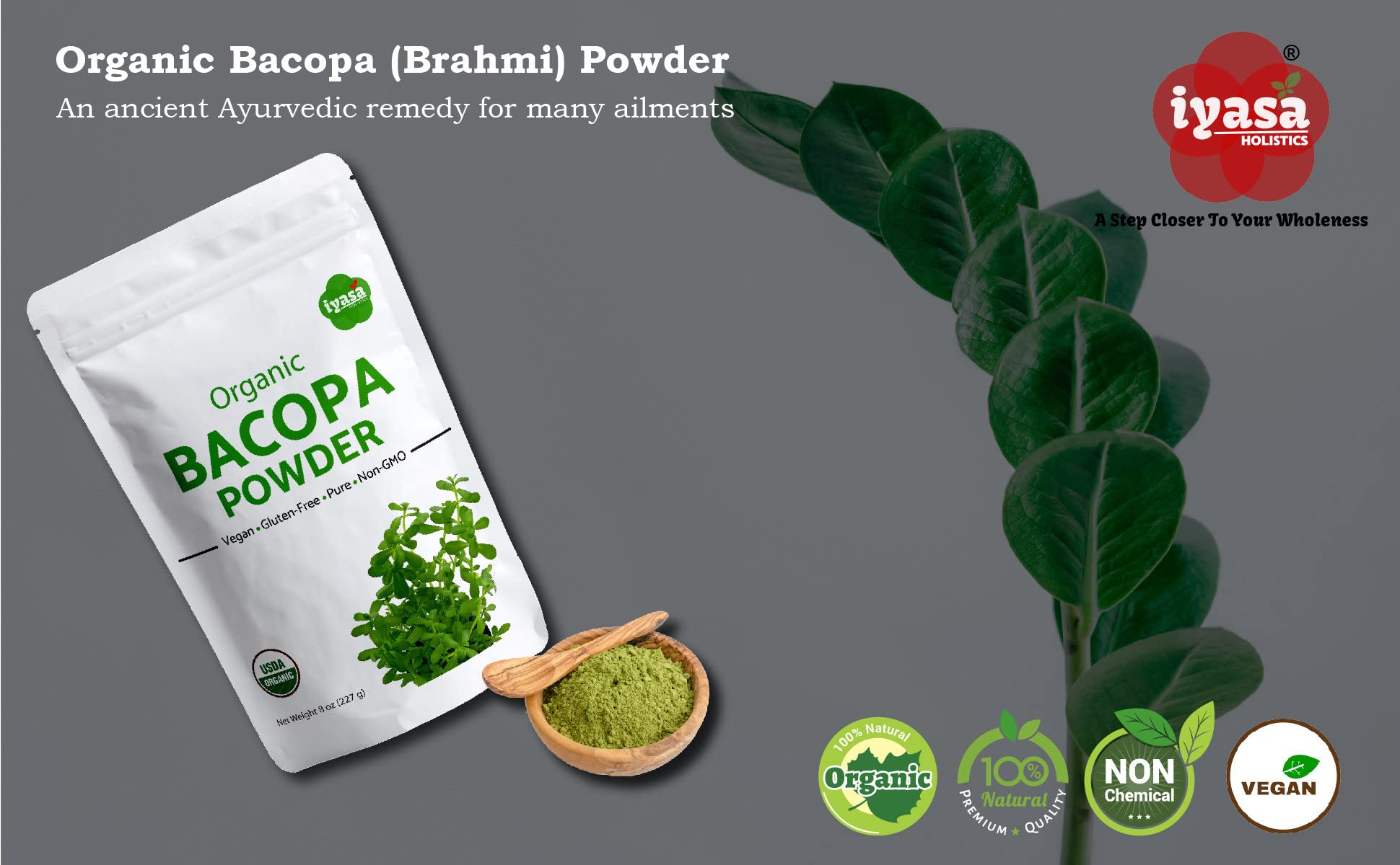 premium bacopa monnieri for Ayurveda