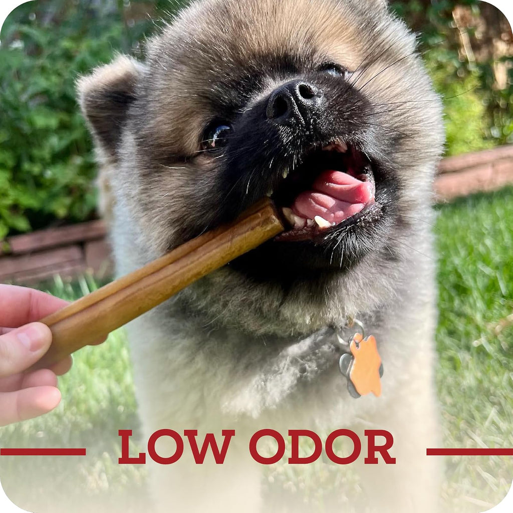 premium beef collagen for dogs