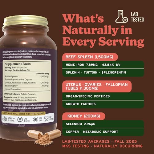 premium beef organ capsules for energy