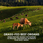 premium beef organ complex benefits