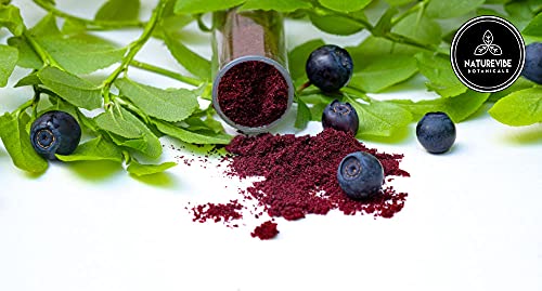 premium bilberry extract for energy