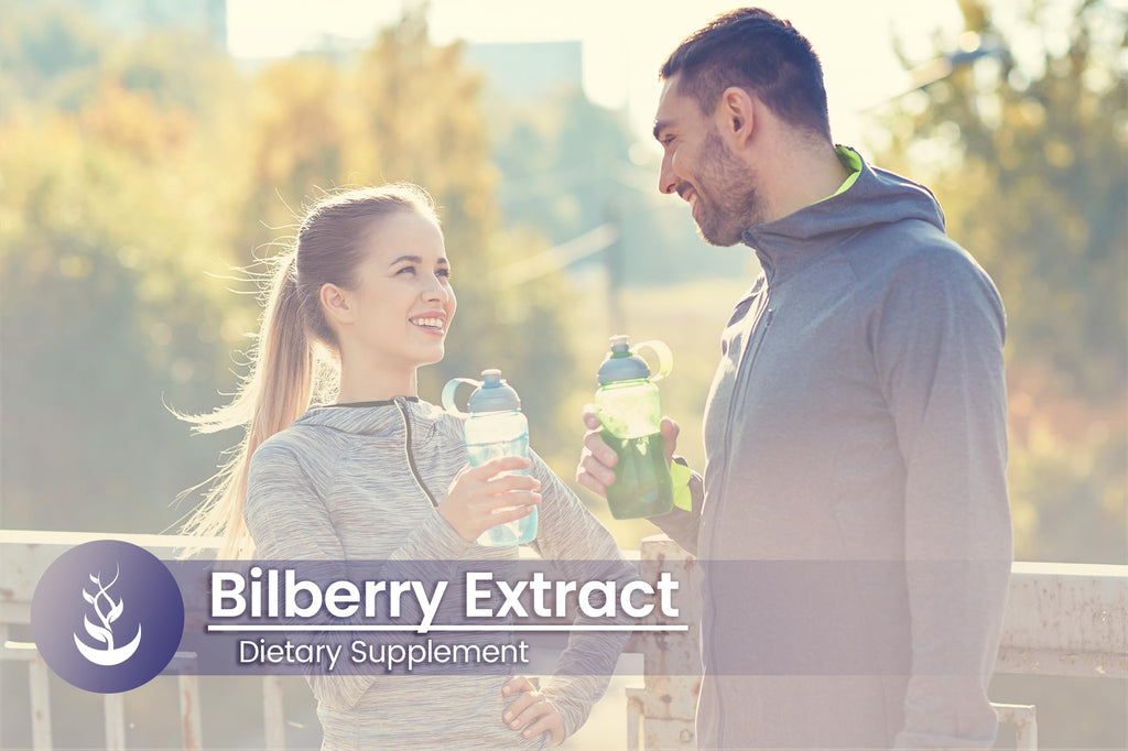 premium bilberry extract for wellness