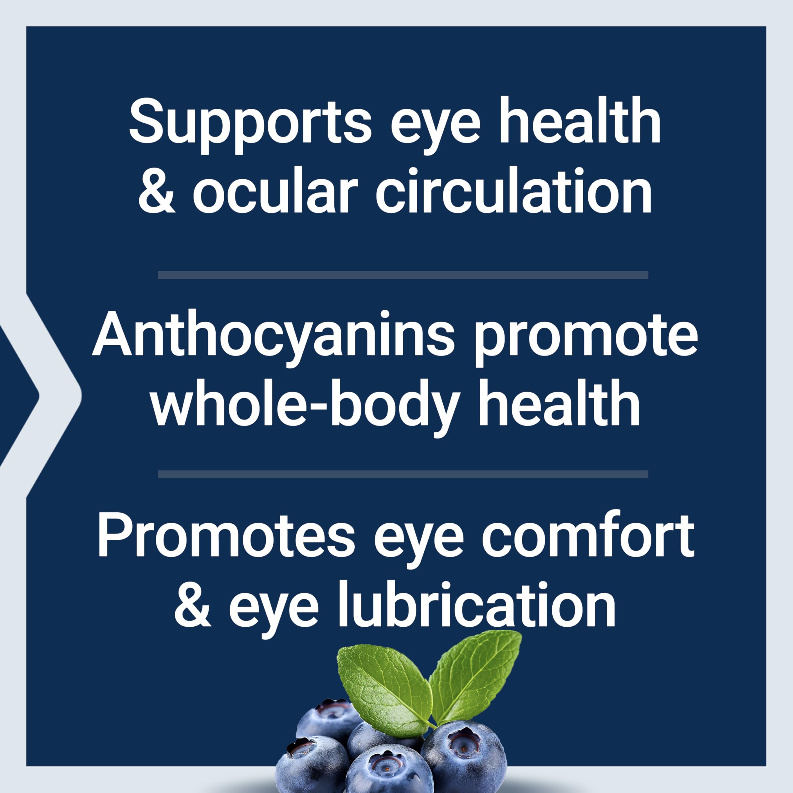 premium bilberry for antioxidant protection