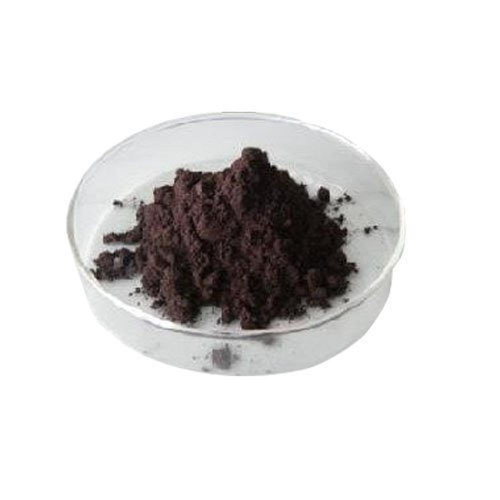premium bilberry supplement for health